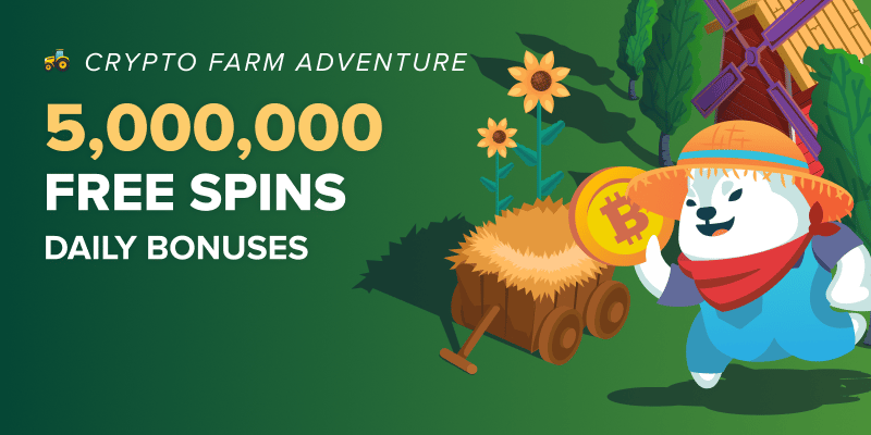 Crypto Casino Game Developers and Providers | Wild.io